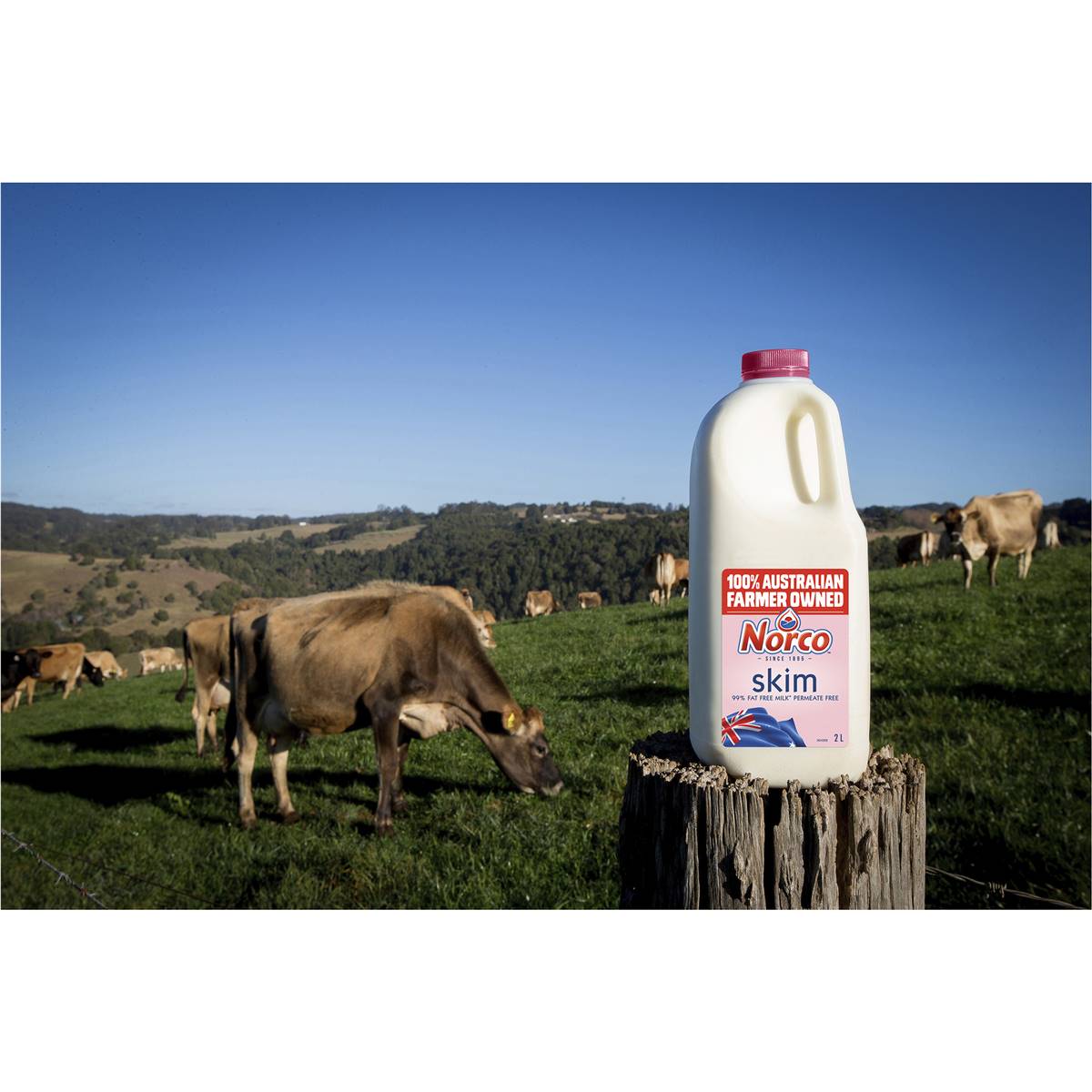 Norco Skim Milk 2l | Woolworths
