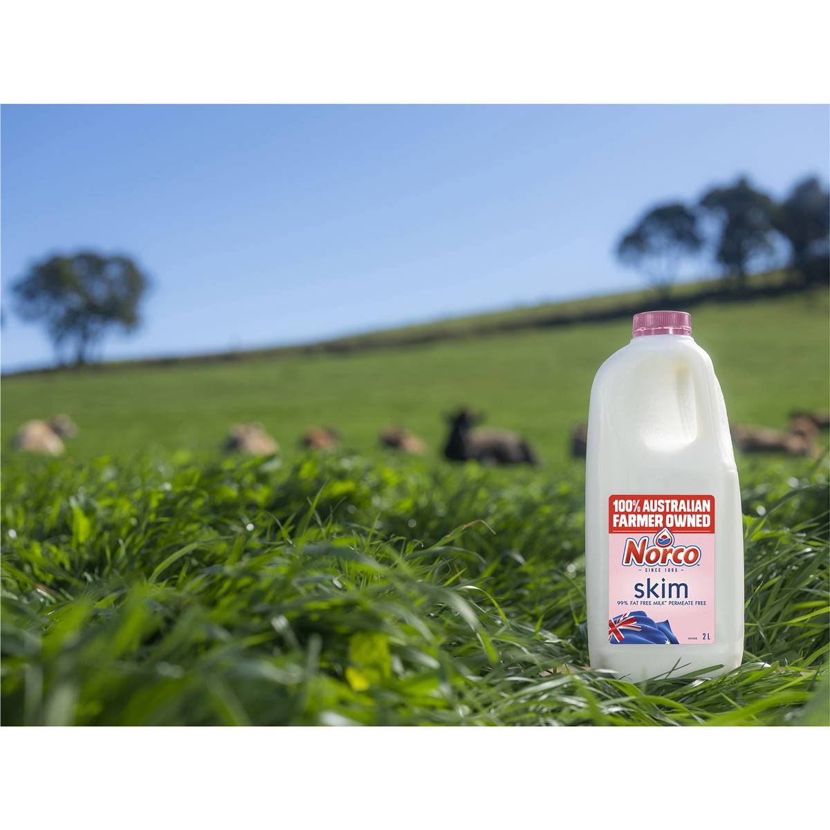 Norco Skim Milk 2l | Woolworths