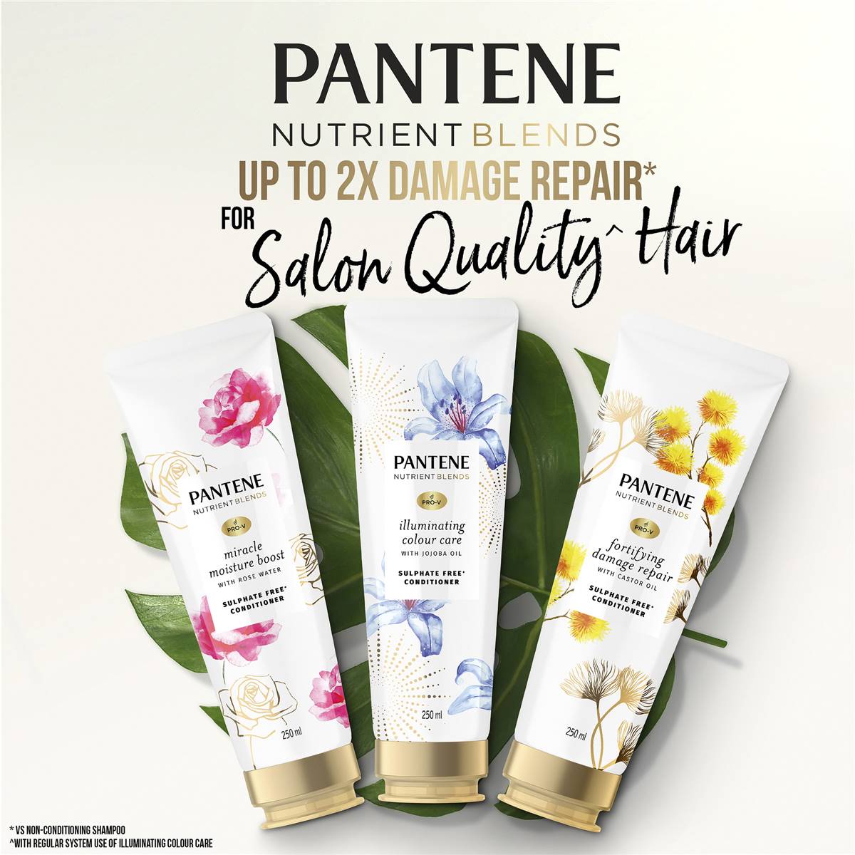 Pantene Nutrients Blend Shampoo Rosewater 500ml | Woolworths