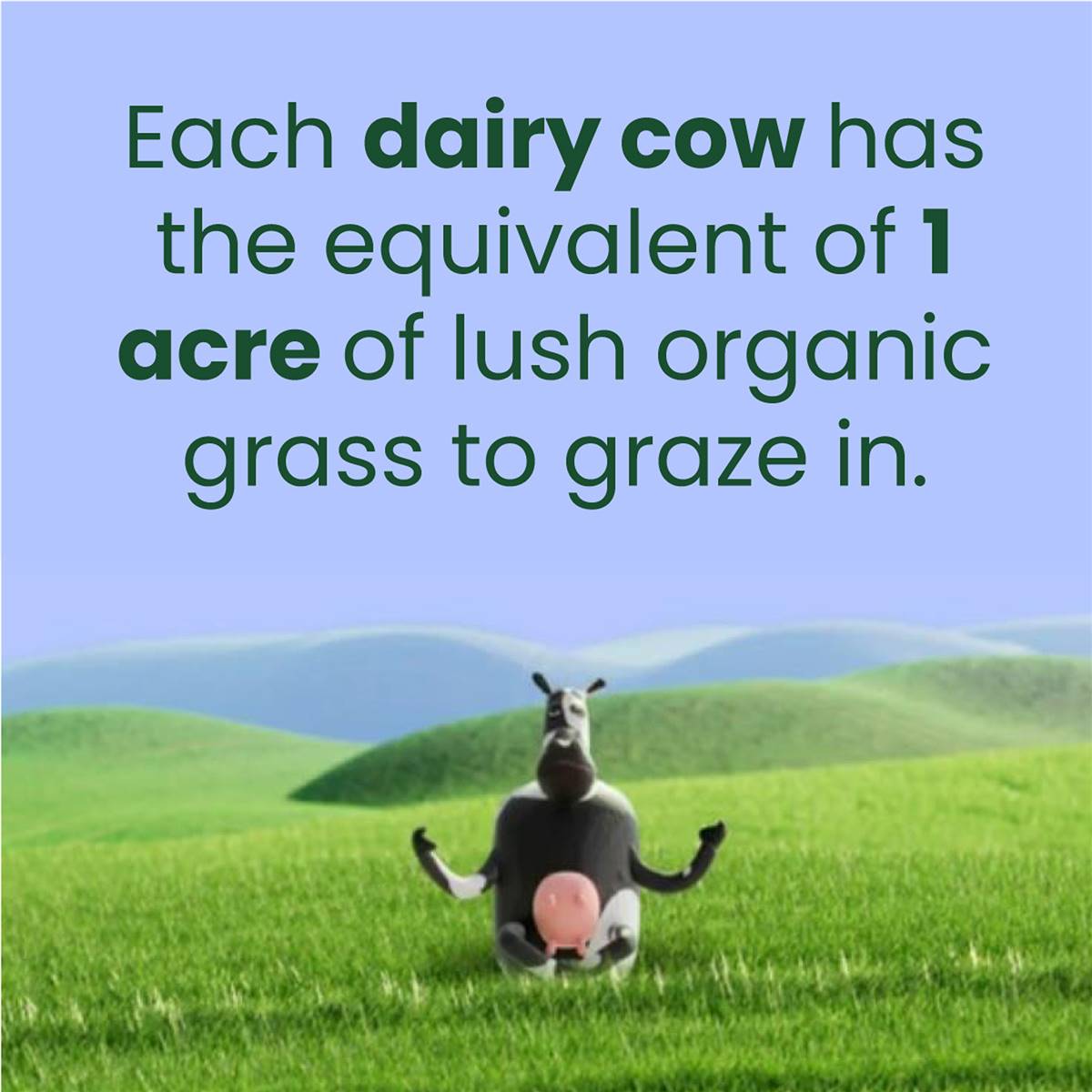 Five:am Organic Yoghurt Honey & Cinnamon 1kg | Woolworths