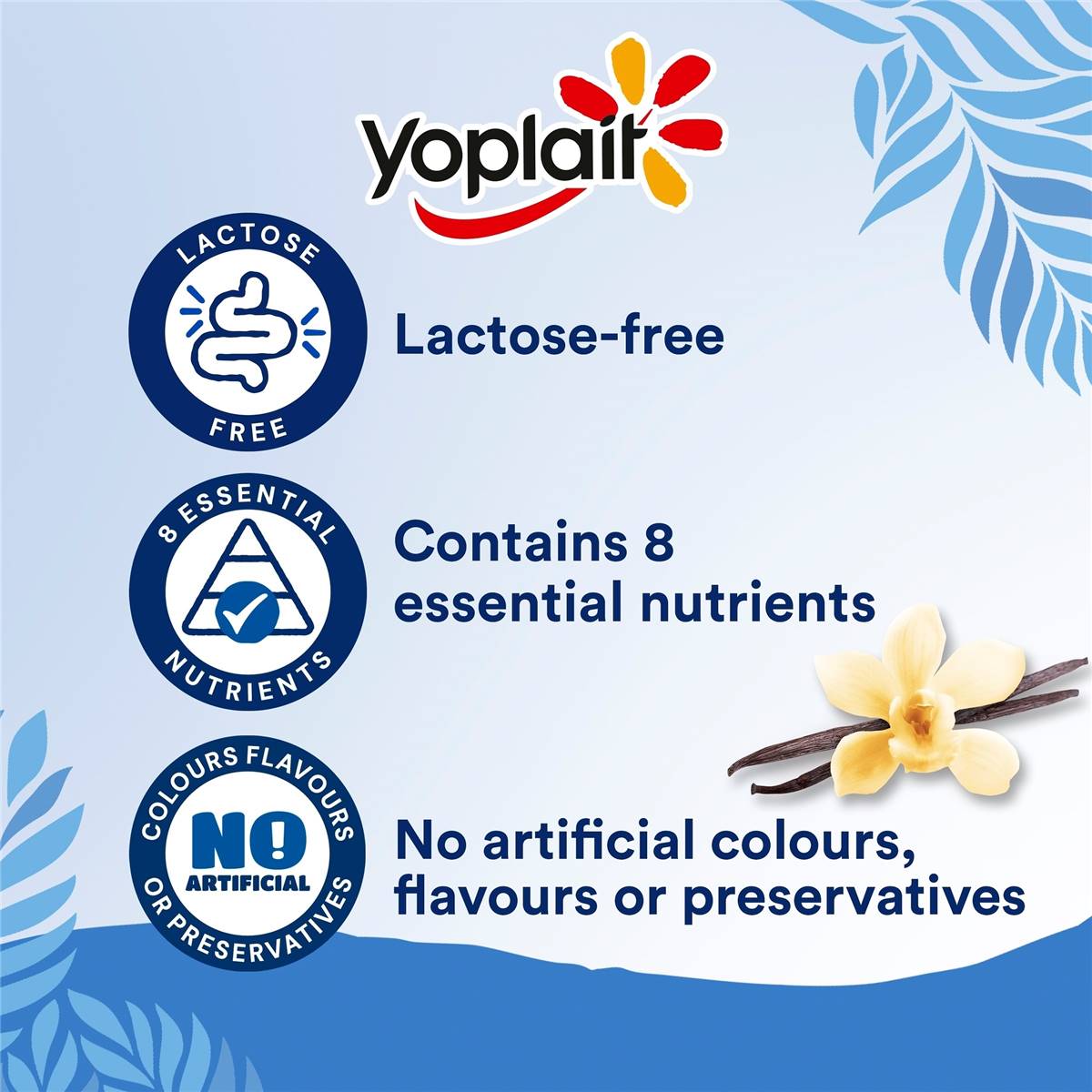 Yoplait Lactose Free Vanilla Yoghurt 6 Pack | Woolworths