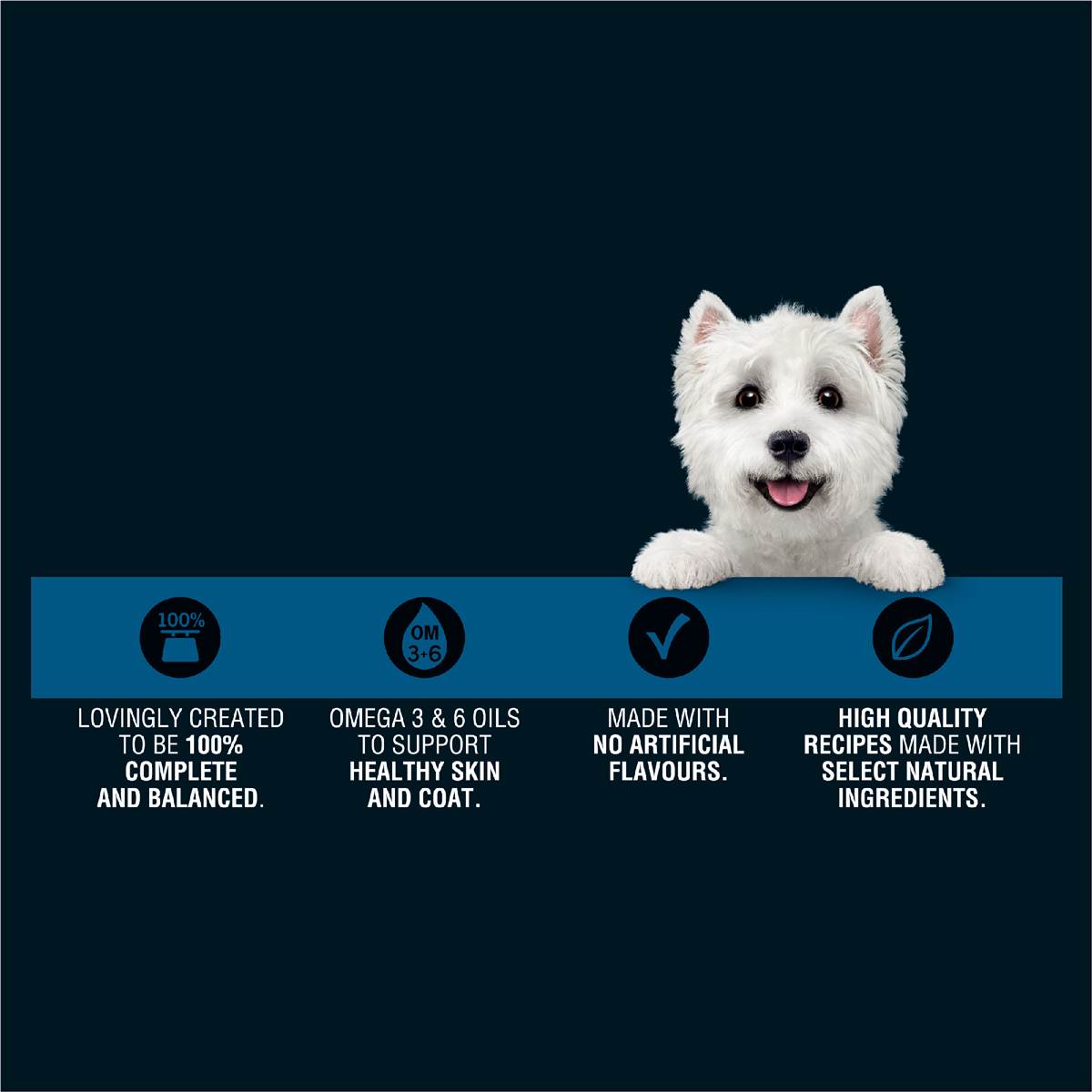 My Dog Shredded Meals Chicken Wet Dog Food 6 X 100g | Woolworths