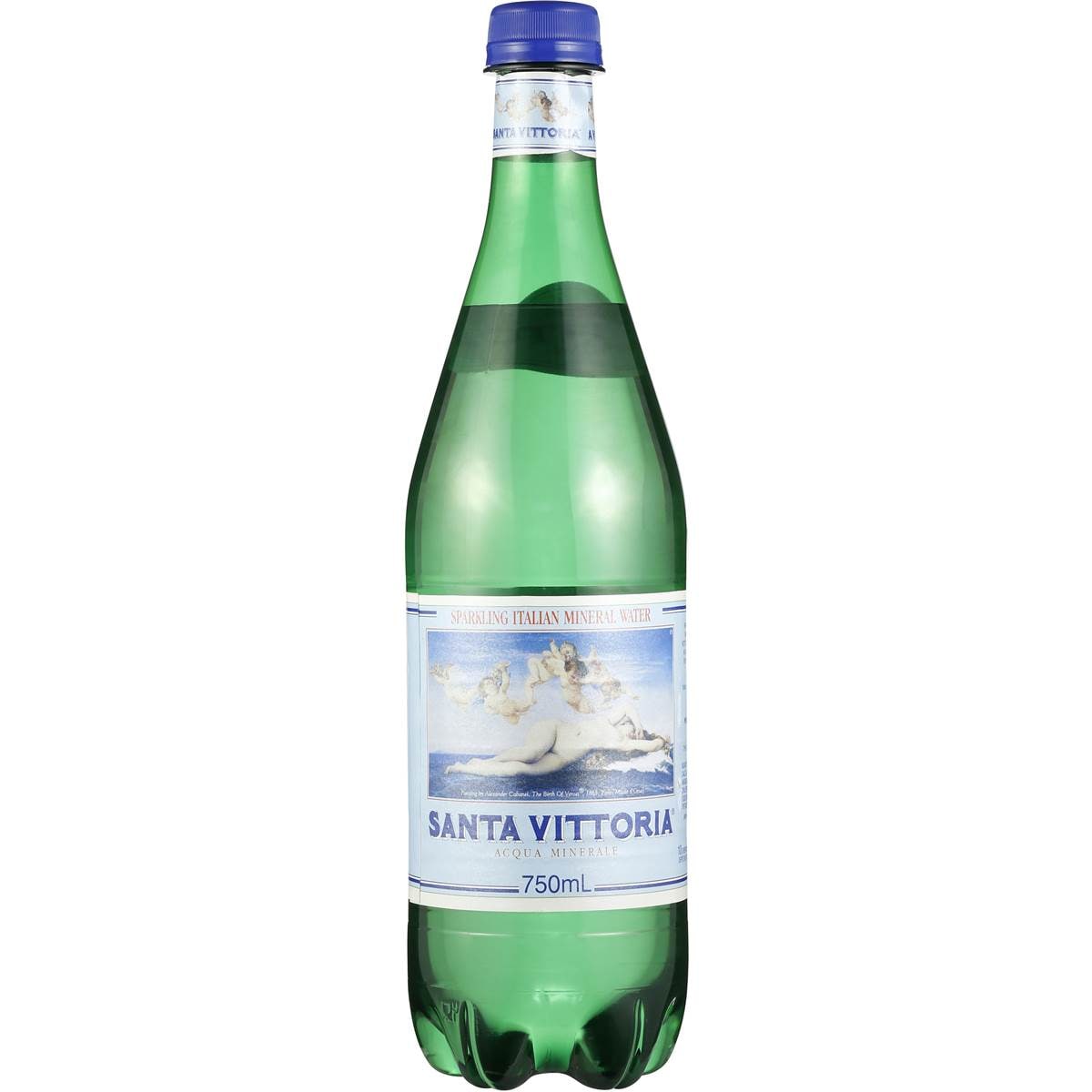 Santa Vittoria Sparkling Mineral Water 750ml | Woolworths