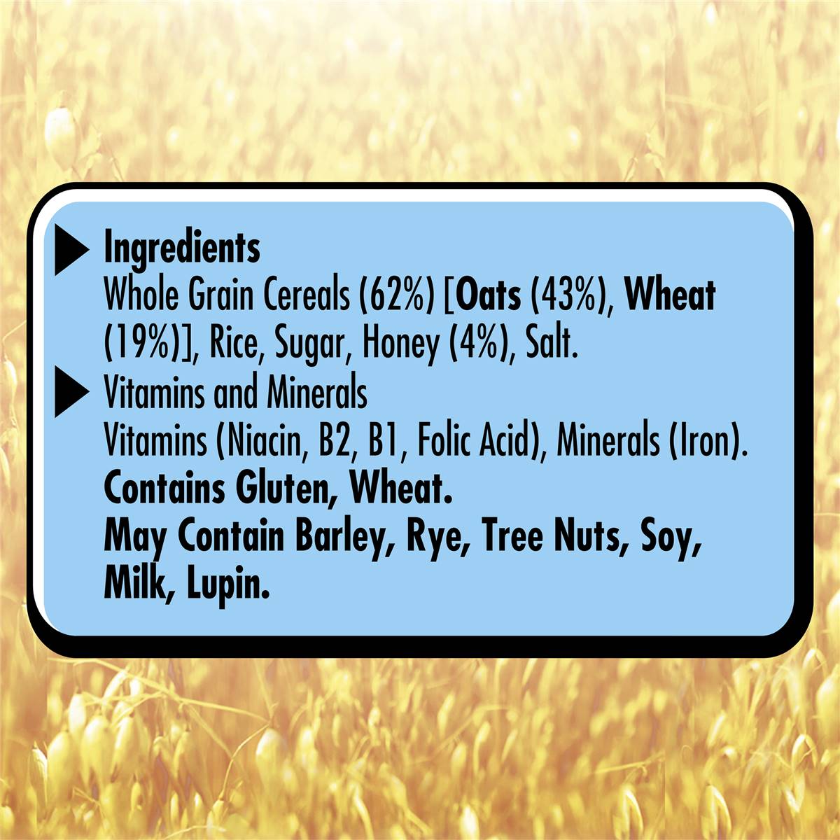 Uncle Tobys Oat Flakes Cereal 650g | Woolworths