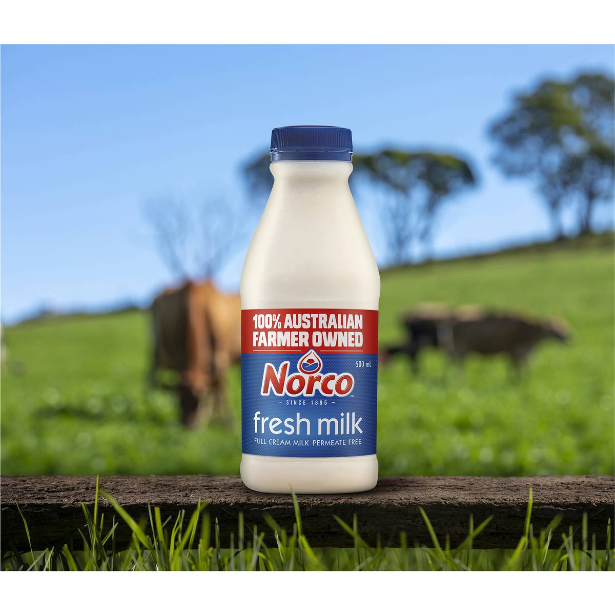 Norco Full Cream Milk 500ml | Woolworths