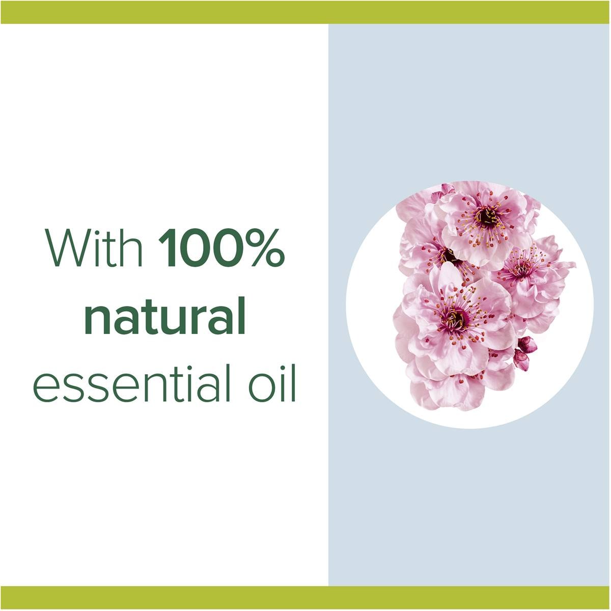 Palmolive Foaming Liquid Hand Wash Japanese Cherry Blossom 250ml ...