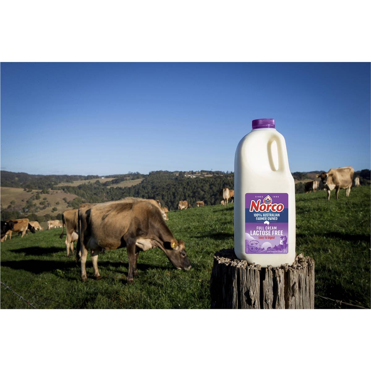 Norco Lactose Free Full Cream Milk 2l | Woolworths