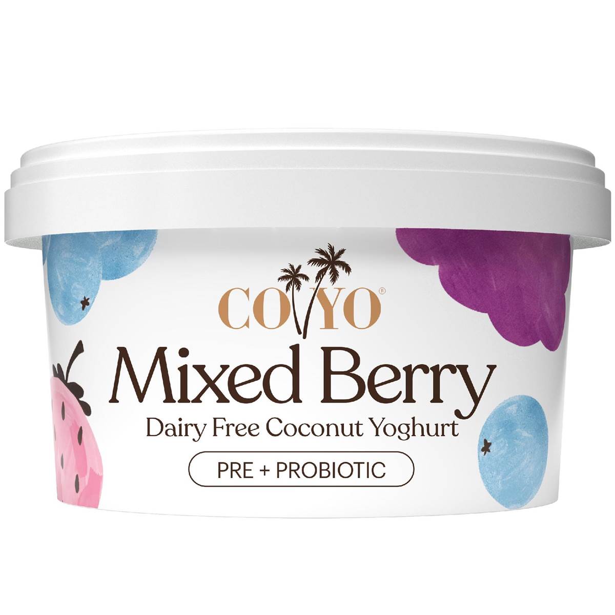 Coyo Yogurt Amazon.com: Noosa Yoghurt, Coconut, 8 Oz, Probiotic, Whole