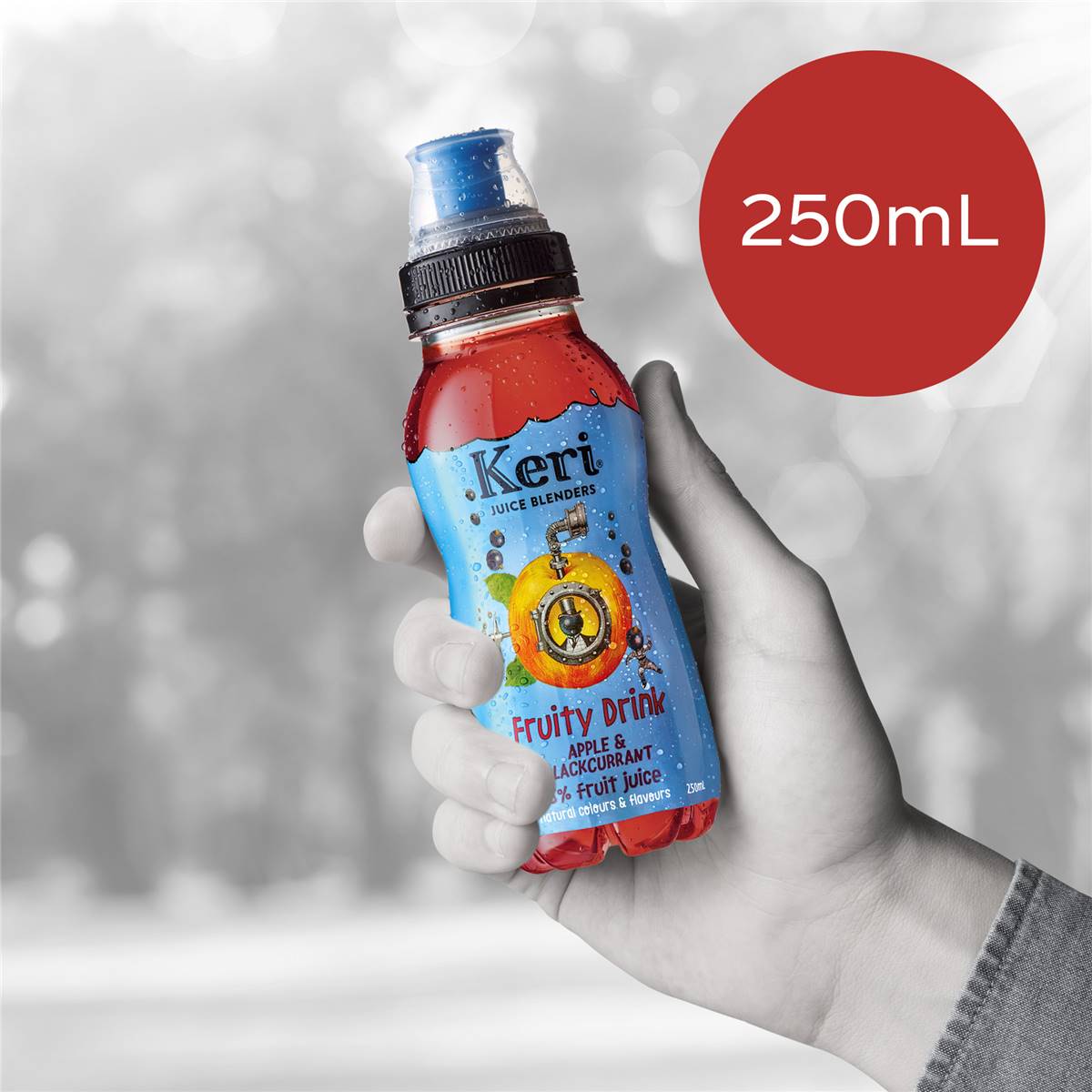 Keri Fruity Drink Apple & Blackcurrant 250ml | Woolworths