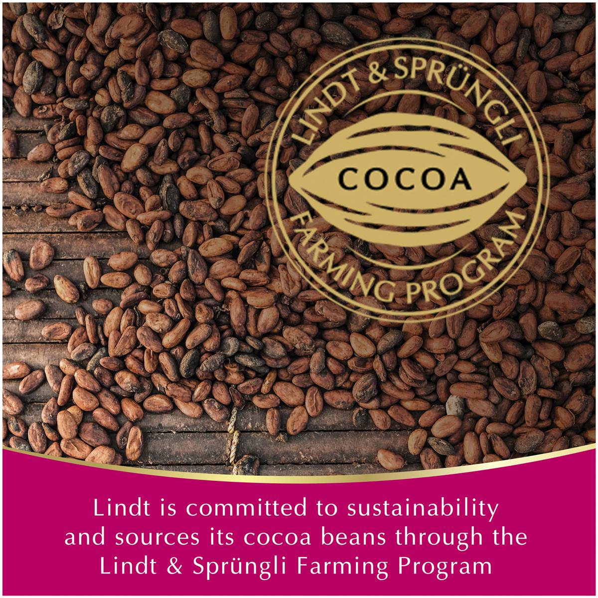 Lindt Fruit Sensation Dark Chocolate Raspberry & Cranberry Bag 150g ...