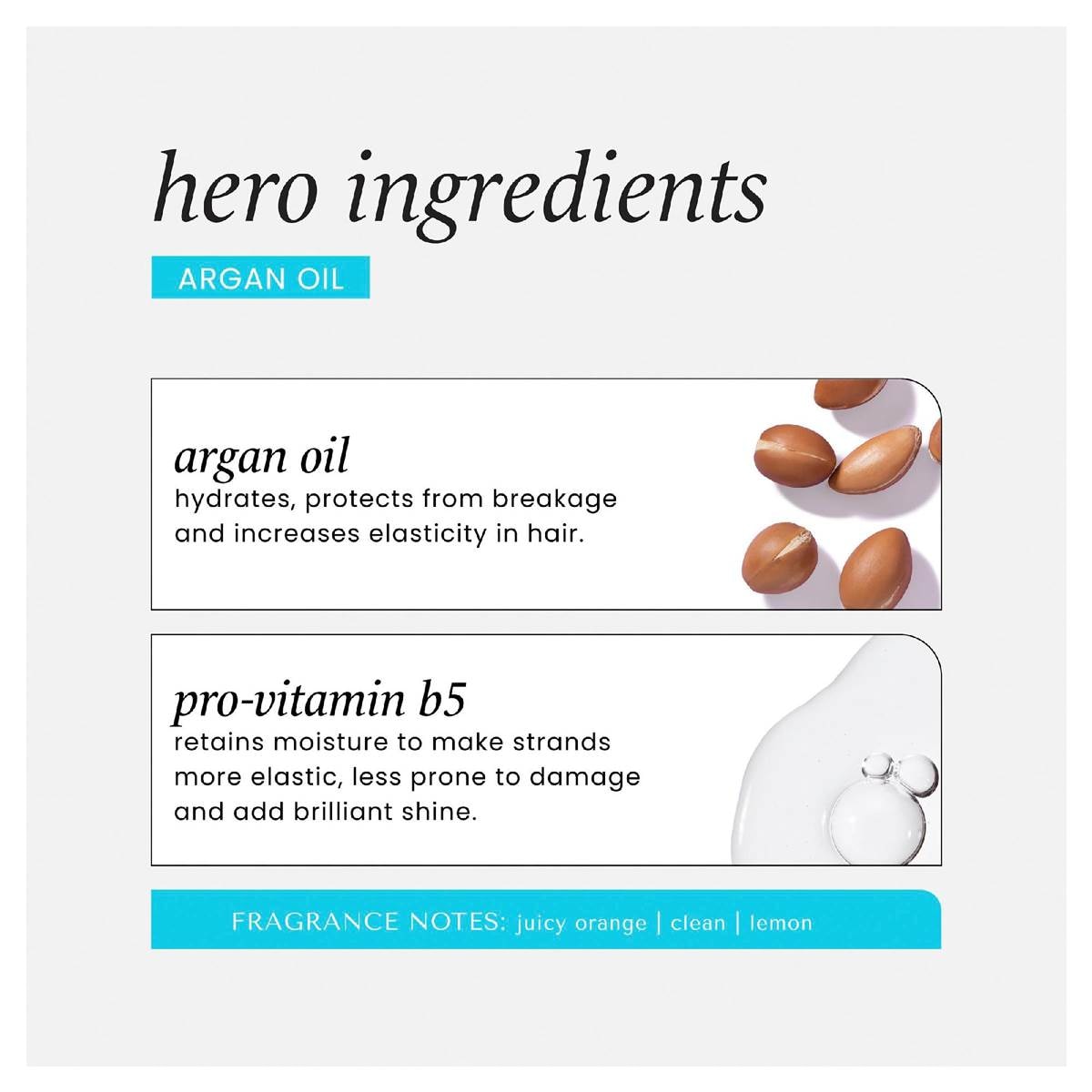 Hask Argan Oil Repairing Shampoo 355ml | Woolworths