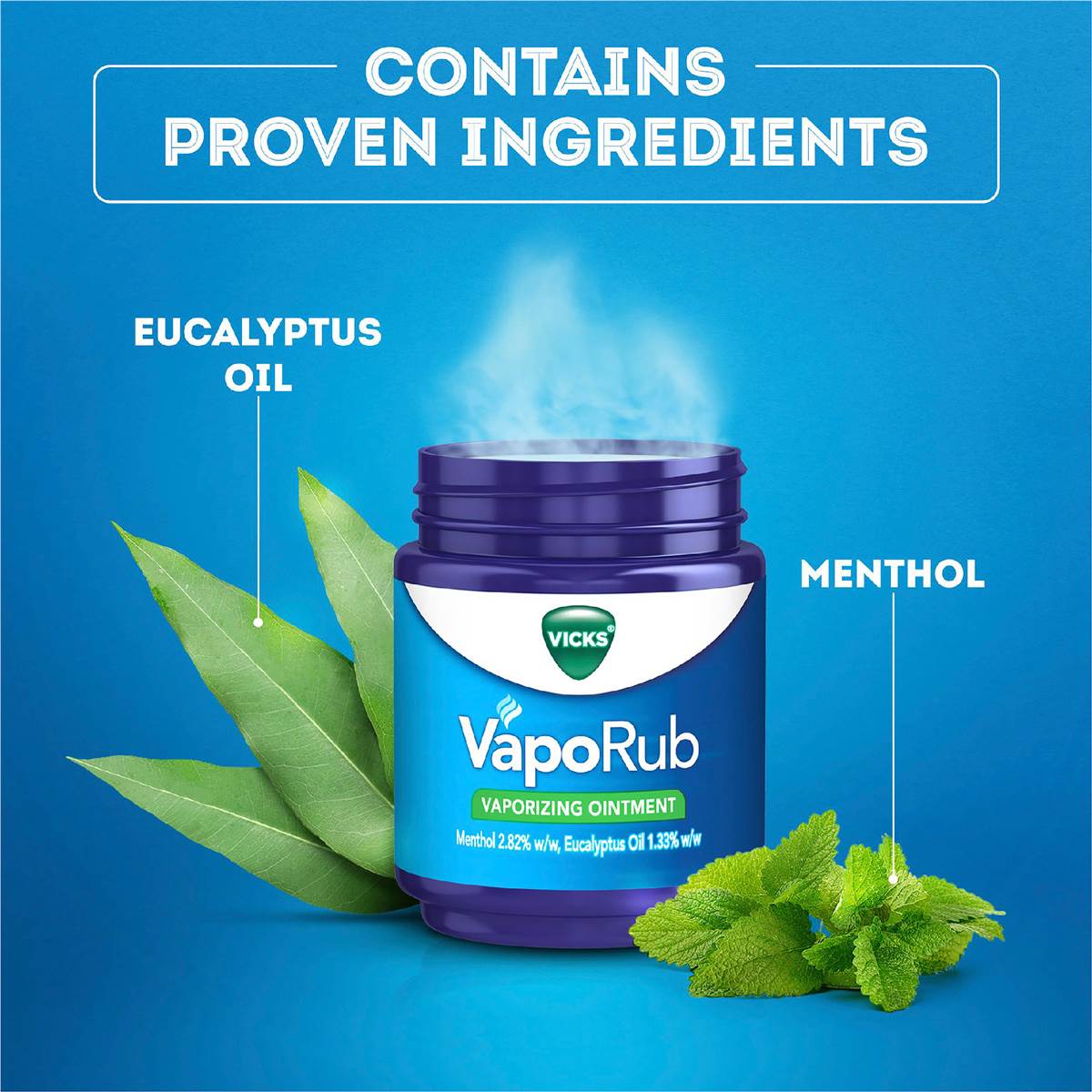 Vicks Vaporub Decongestant Rub 100g | Woolworths