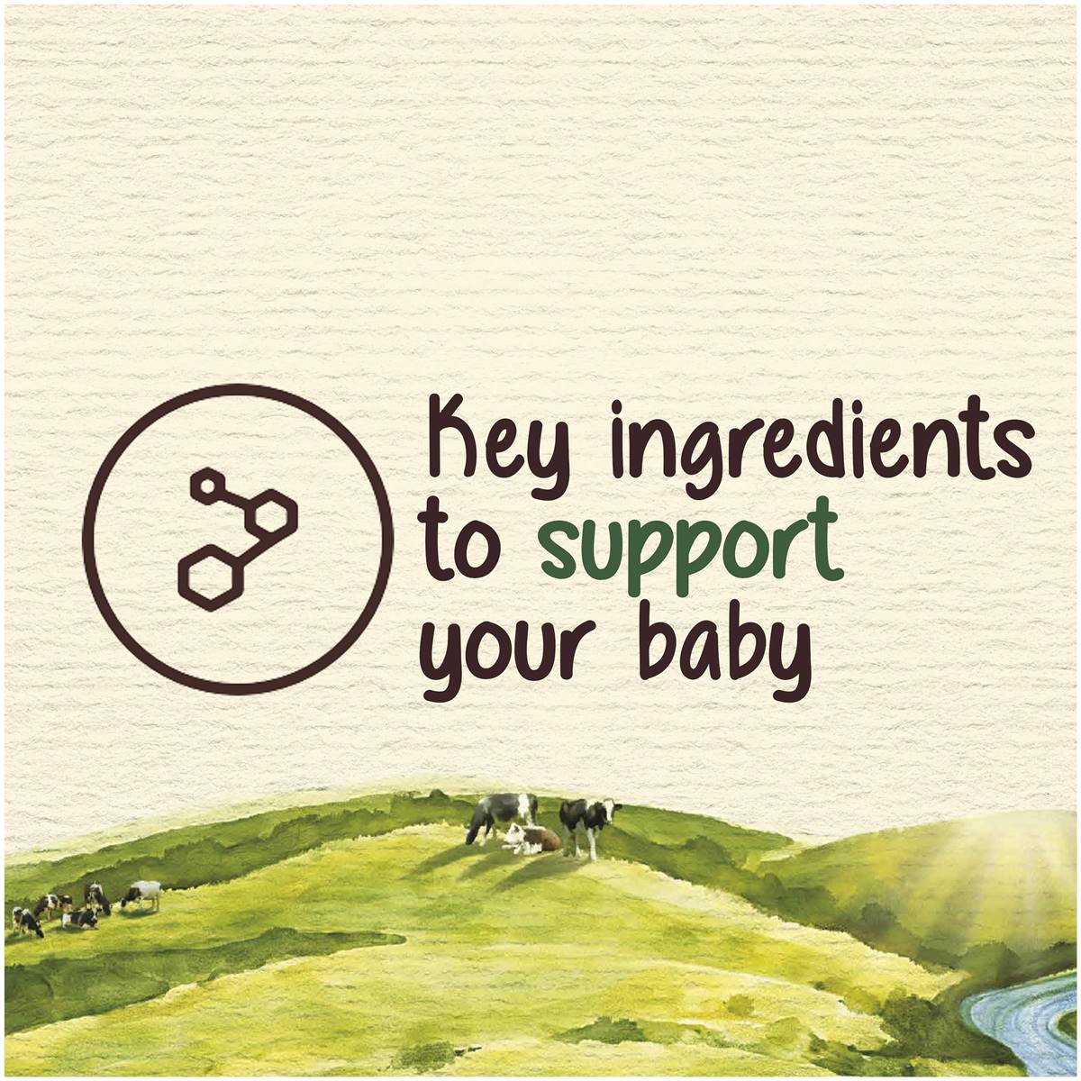 Karicare 1 Baby Infant Formula From Birth To 6 Months 900g | Woolworths