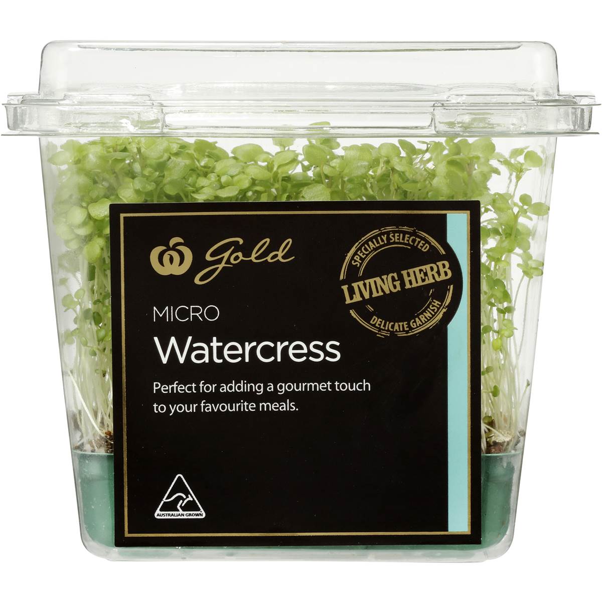 Herb Living Micro Watercress Punnet | Woolworths