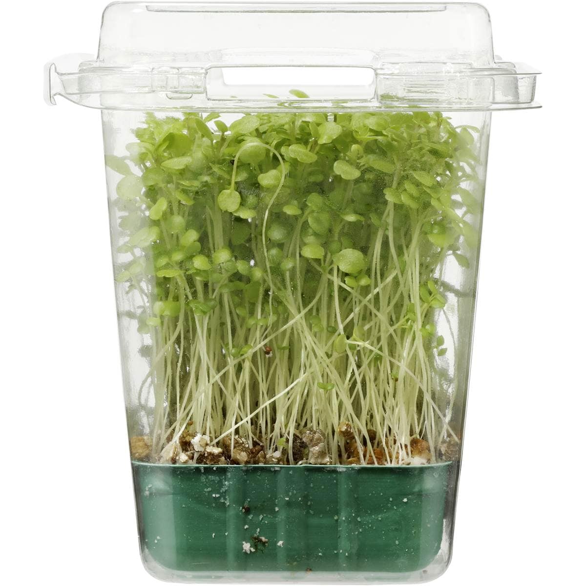 Herb Living Micro Watercress Punnet | Woolworths