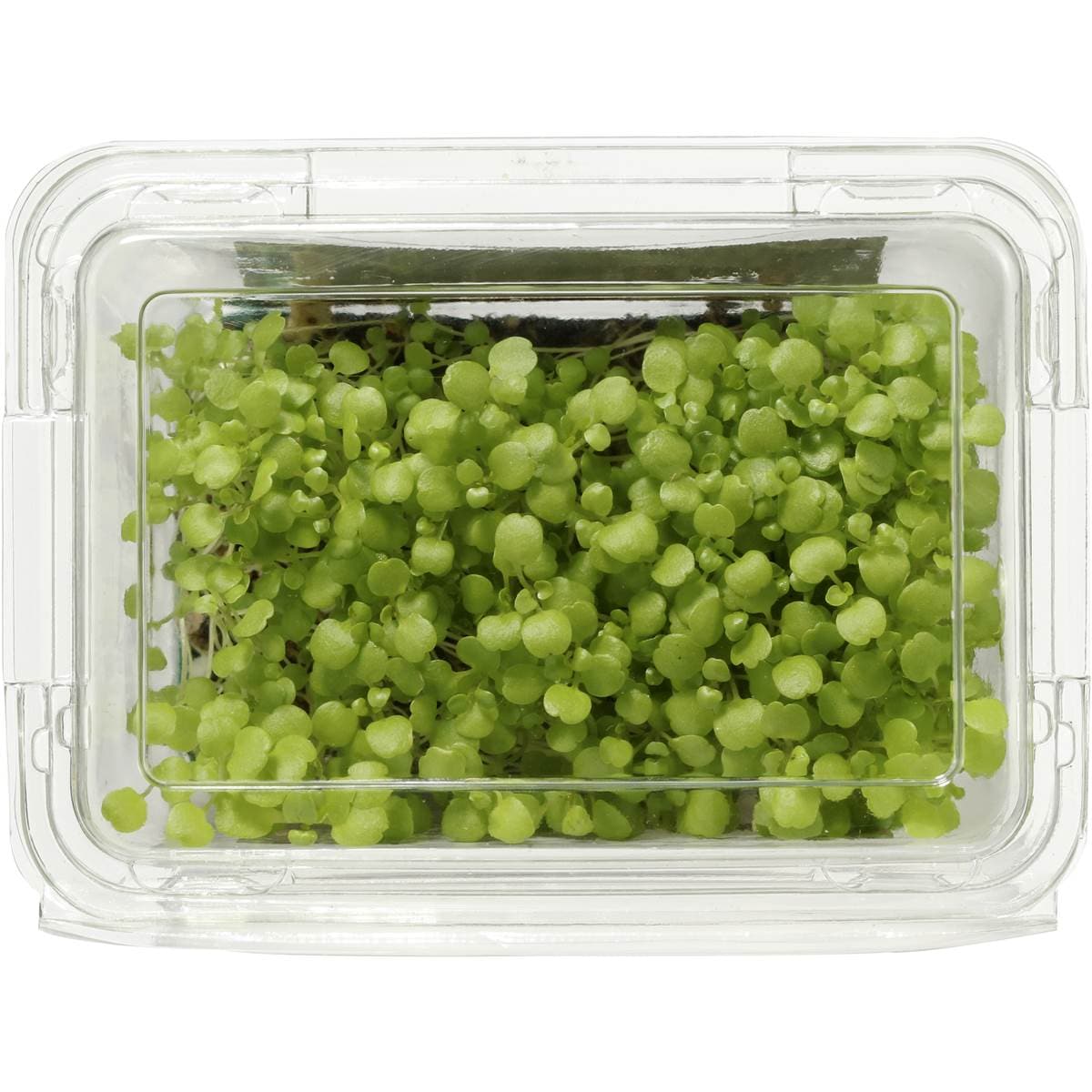 Herb Living Micro Watercress Punnet | Woolworths