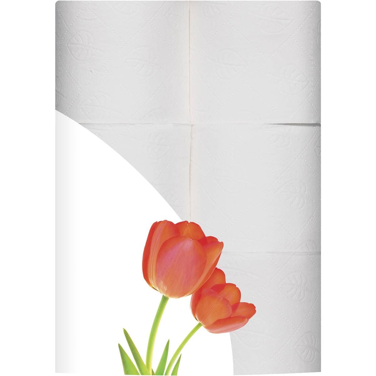 Sorbent Silky White Embossed Toilet Tissue 24 Pack | Woolworths