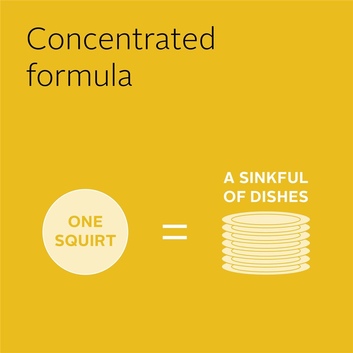 Ecostore Dishwashing Liquid Lemon 1l | Woolworths