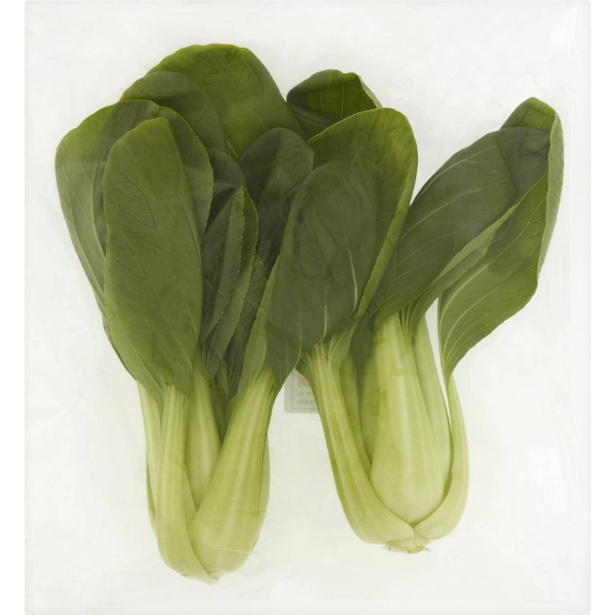 Organic Pak Choy Baby Each | Woolworths