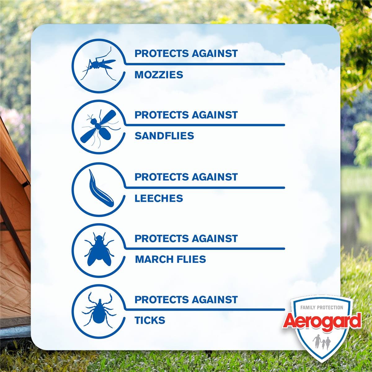 Aerogard 40% Deet Aerosol Insect Repellent 150g | Woolworths