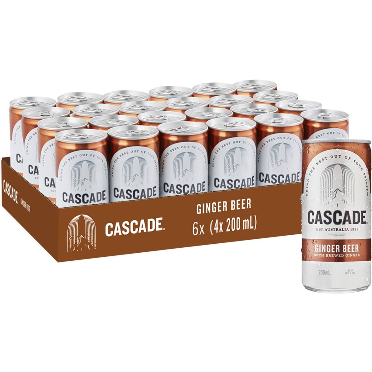 Cascade Ginger Beer Can 200ml X24 Case | Woolworths