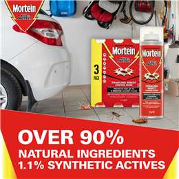 Mortein Kill & Protect Diy Insect Control Bomb Crawling Insects 3 Pack ...