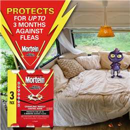 Mortein Kill & Protect Diy Crawling Insect Control Bomb 3 Pack | Woolworths