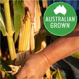 Edgell Creamed Corn Value Pack 4x125g | Woolworths