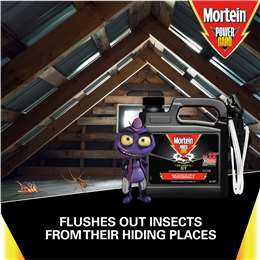 Mortein Powergard Diy Indoor & Outdoor Insect Surface Spray 2l | Woolworths