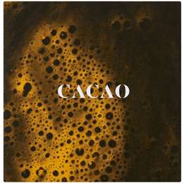 Cacao Yellow Box Honeycomb Chocolate 100g | Woolworths