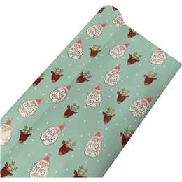 Christmas Wrapping Paper Green Santa 5m Each | Woolworths