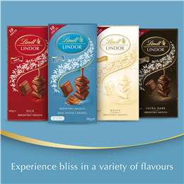 Lindt Lindor Milk Salted Caramel Chocolate Block 100g | Woolworths
