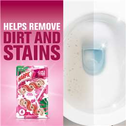 Harpic Fresh Power Rose Caged Toilet Cleaner Block 2 Pack | Woolworths