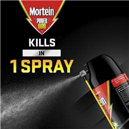 Mortein Powergard Crawling Insect Spray Easy Reach W/ Germ Kill 320g ...