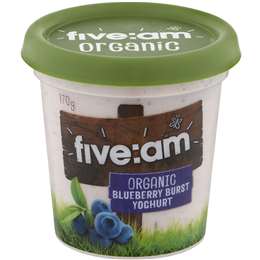 Five:am Blueberry Yoghurt 170g | Woolworths