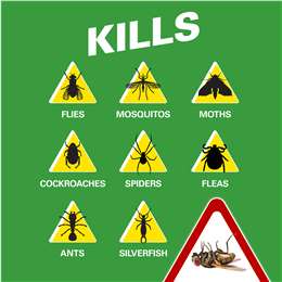 Pea Beu Flying Insect Killer Aerosol Spray Odourless 350g | Woolworths