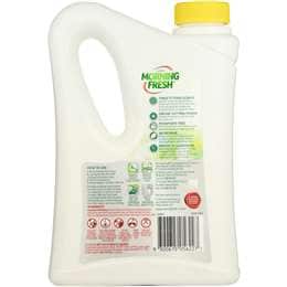 Morning Fresh Dishwashing Powder Super Concentrate 1kg | Woolworths