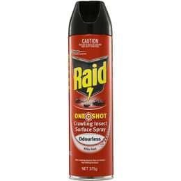 Raid One Shot Insect Spray Odourless 375g | Woolworths