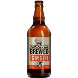 Little Fat Lamb Brewed Ginger Bottles 500ml X12 Case | Woolworths