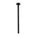 ACA Round Black Ceiling Shower Arm 600mm Stainless Steel | Woolworths