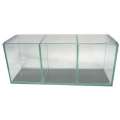Petworx Fighter Tank Trio Polished Corners 3 Bay Betta Fighing Fish ...