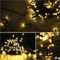 240 WARM WHITE Led Fairy Light Chain 16.8m | Woolworths