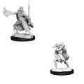 D&D Nolzurs Marvelous Unpainted Miniatures Winter Eladrin & Spring ...