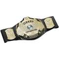 WWE World Heavyweight Championship Belt forAges 8+ Toy Fight Play Ring ...