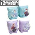 Wahu Disney Frozen Arm Bands Small | Woolworths