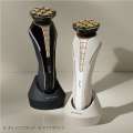 ARTISTIC & CO. Dr.Arrivo Zeus IV (BLACK) All-in-one Beauty Equipment ...