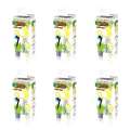 6PK Mayhem Funtech UK Lemon/Lime Wicked Waterer Plant Watering System ...