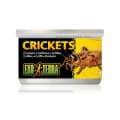 Exo Terra Canned Crickets 34g Reptile Lizard Food (PT1960) | Woolworths