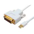 Astrotek Mini DisplayPort DP to DVI Cable 2m - 20 pins Male to 24+1 ...