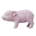 White Moose Resin Pig Money Saver Box Home/Room Ornament Display Decor ...